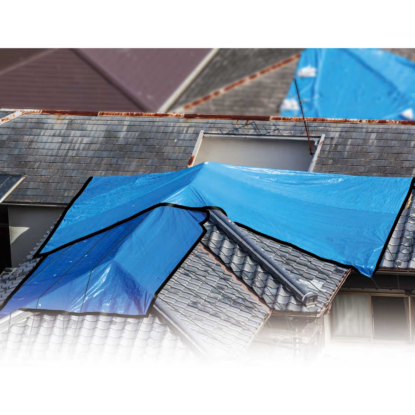 清水株式会社｜建築金物・インテリア用品・DIY用品の国内販売及び輸出入